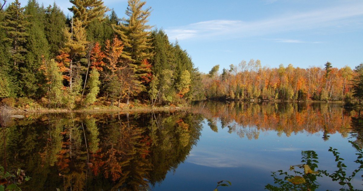 Les Sentiers de l'Estrie inc. - Sherbrooke | Cantons-de-l'Est (Estrie)