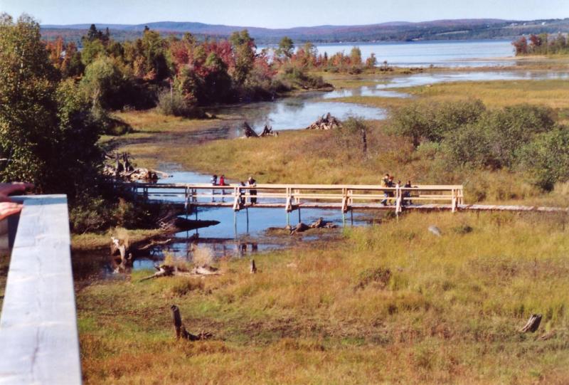 Sentier du marais Maskinongé - Stratford | Cantons-de-l'Est (Estrie)