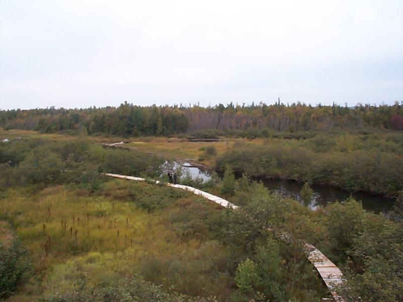 Sentier du marais Maskinongé - Stratford | Cantons-de-l'Est (Estrie)