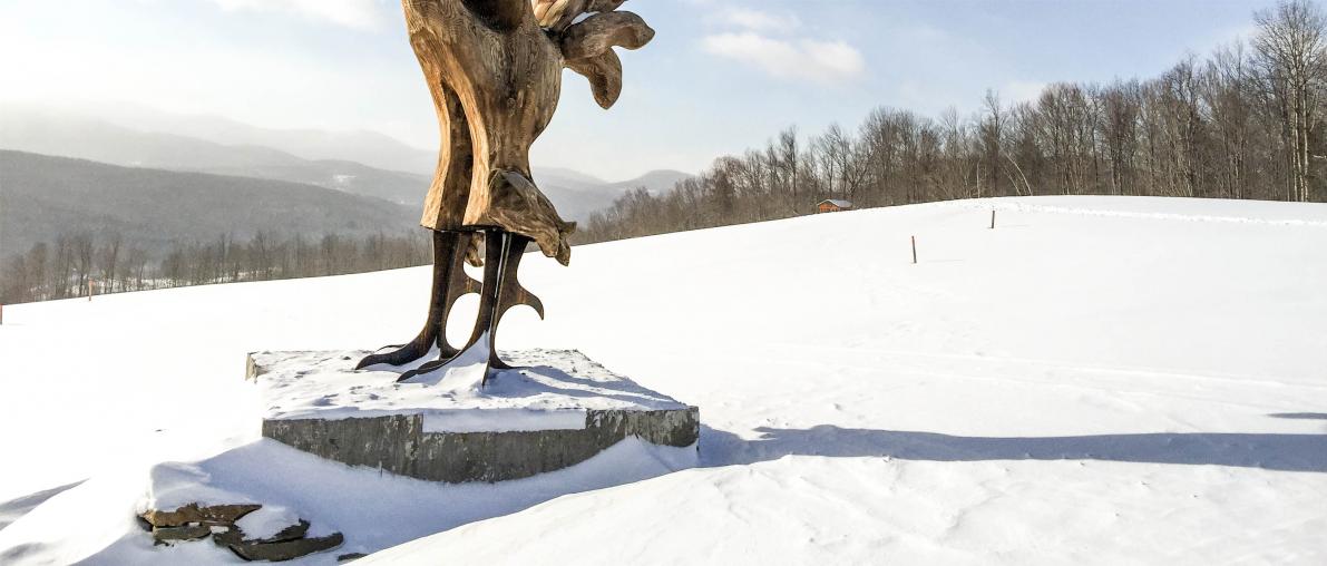 Au Diable Vert « Station de montagne » - Sutton | Cantons-de-l'Est (Estrie)
