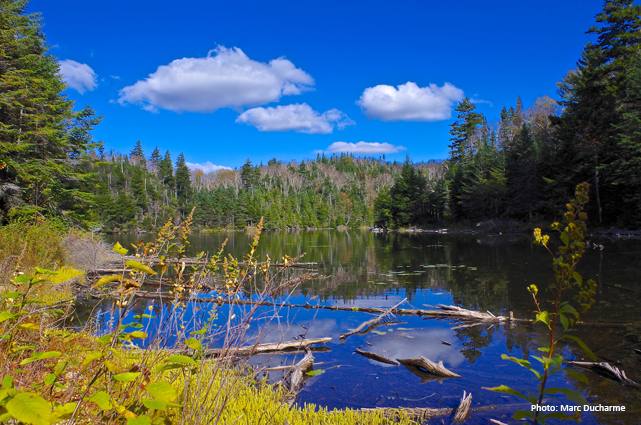 Parc d'environnement naturel de Sutton - Sutton | Cantons-de-l'Est (Estrie)