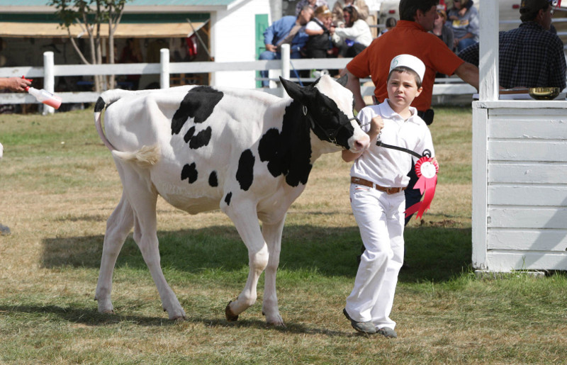 Exposition Cookshire Fair - Cookshire-Eaton | Cantons-de-l'Est (Estrie)