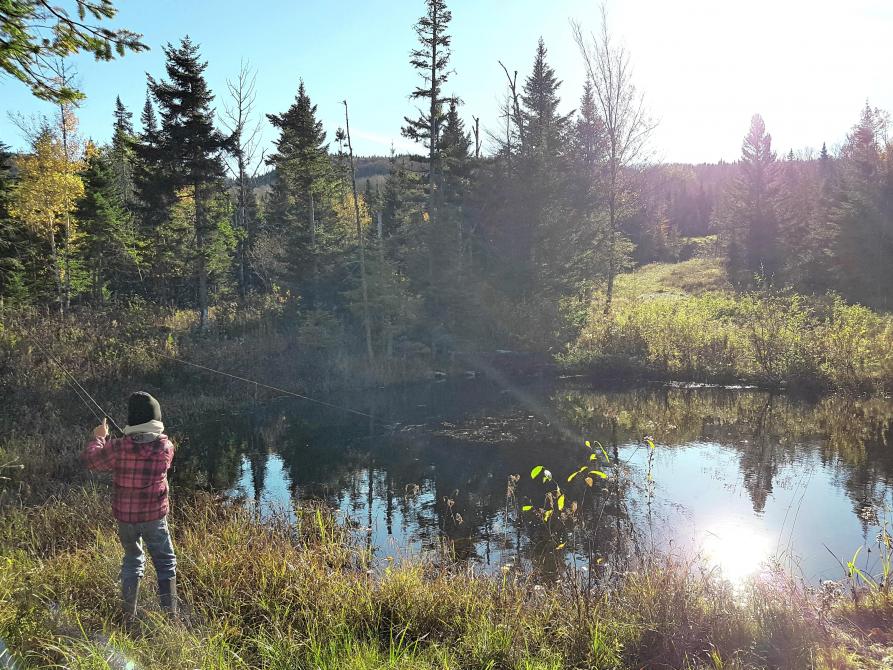 Lauz Altitude - Chartierville | Cantons-de-l'Est (Estrie)