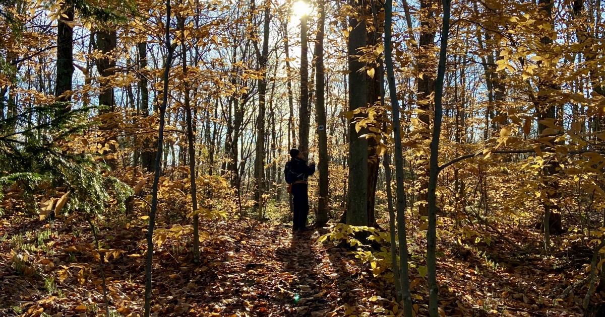 Sentier du lac Libby et de la Mine - Missisquoi Nord - Sentiers ...