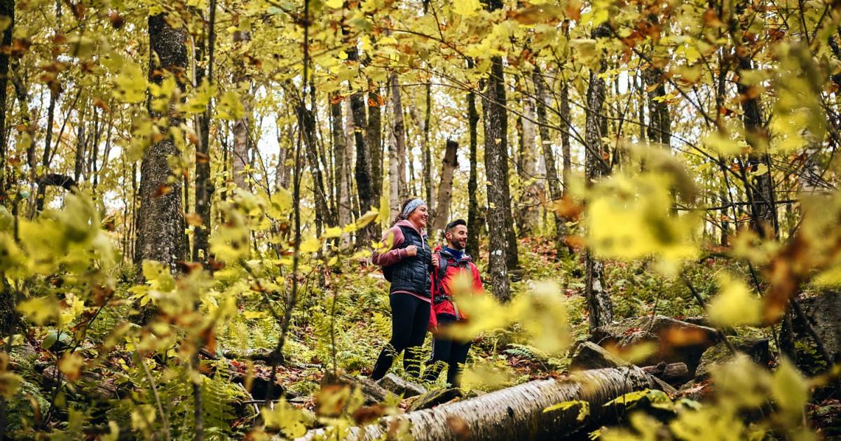 Randonnée pédestre (Réseaux de sentiers) | Cantons-de-l’Est (Estrie)