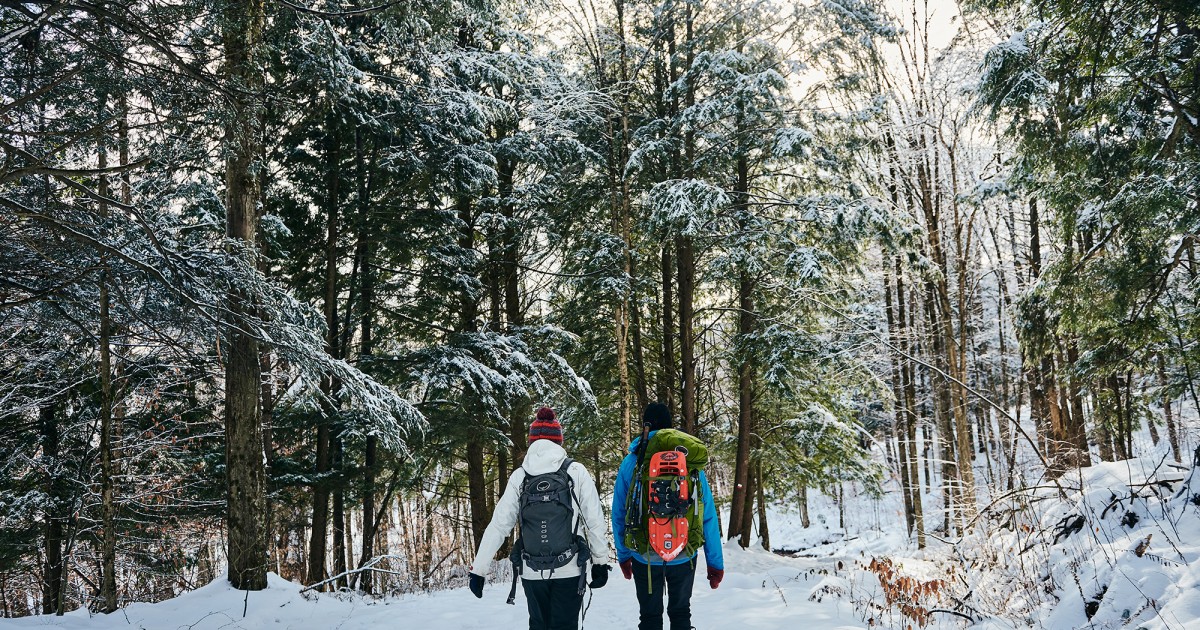 Randonnée pédestre (Réseaux de sentiers) | Cantons-de-l’Est (Estrie)