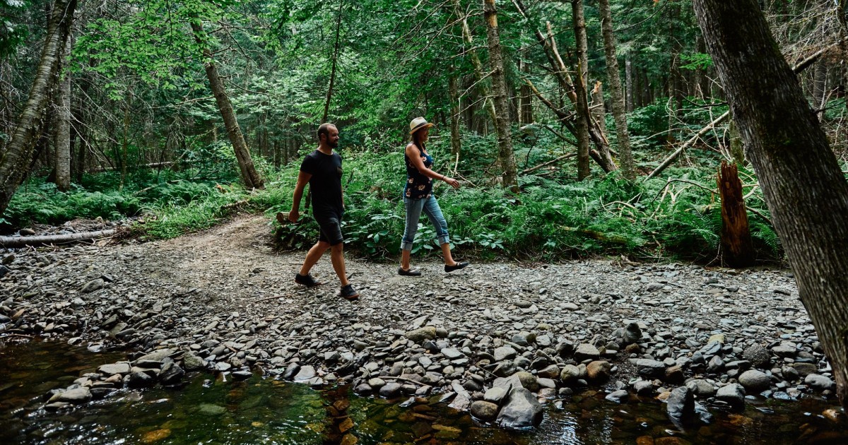 6 endroits pour se promener en forêt | Cantons-de-l'Est (Estrie)