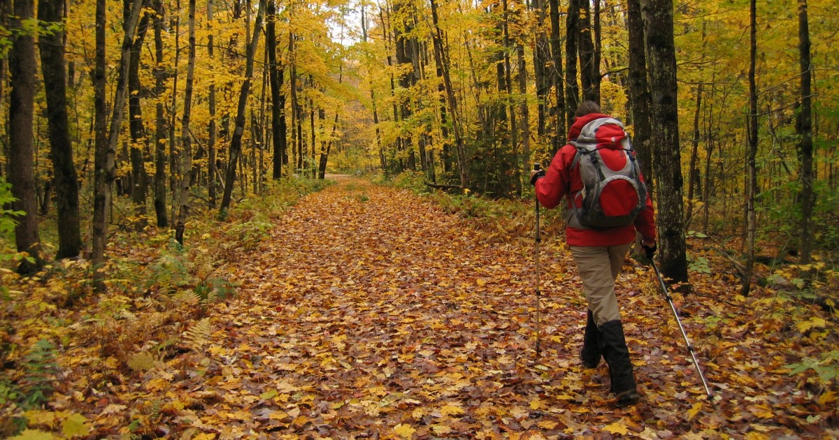 Six randonnées pédestres pour les pros | Cantons-de-l'Est (Estrie)