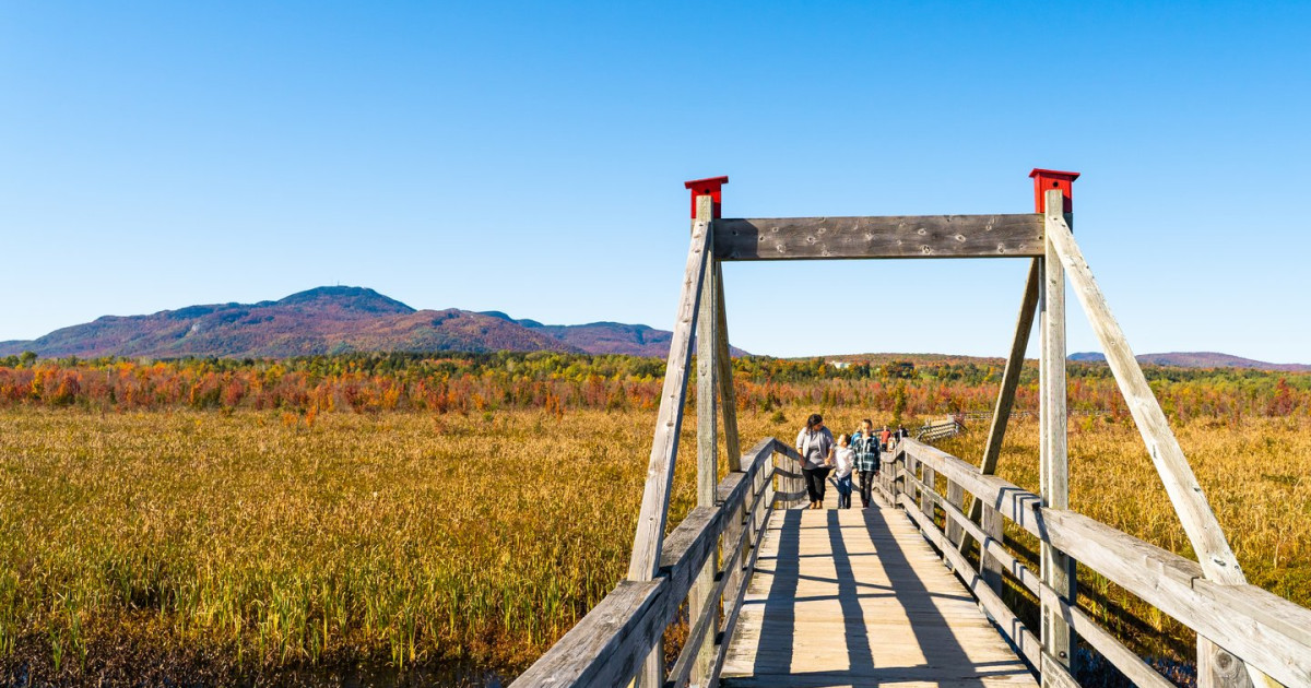 Des sentiers parfaits pour une balade du dimanche en famille | Cantons ...